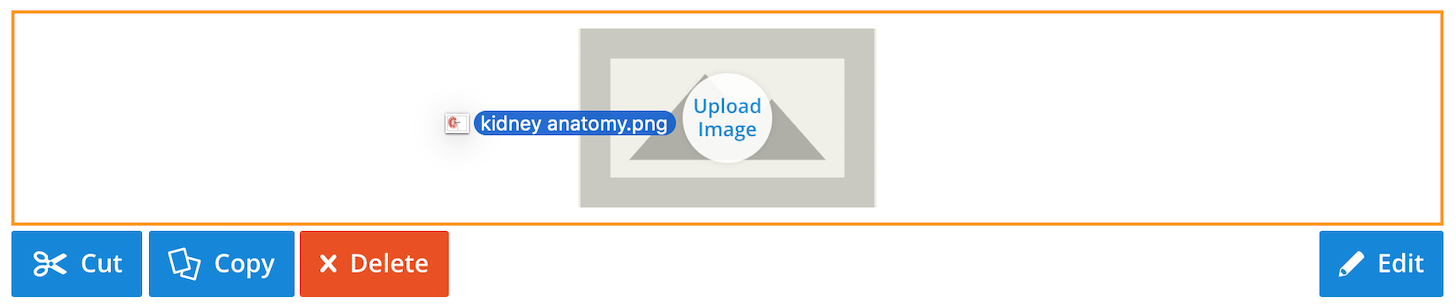 Creating Lt Image Panels | ADInstruments